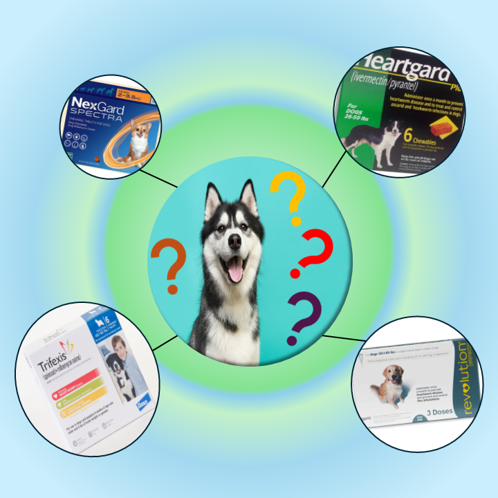 How to Choose the Right Heartworm Prevention for Your Dog – PetiScience