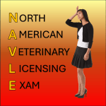 All About the NAVLE: The Ultimate Test for Veterinary Licensing in ...